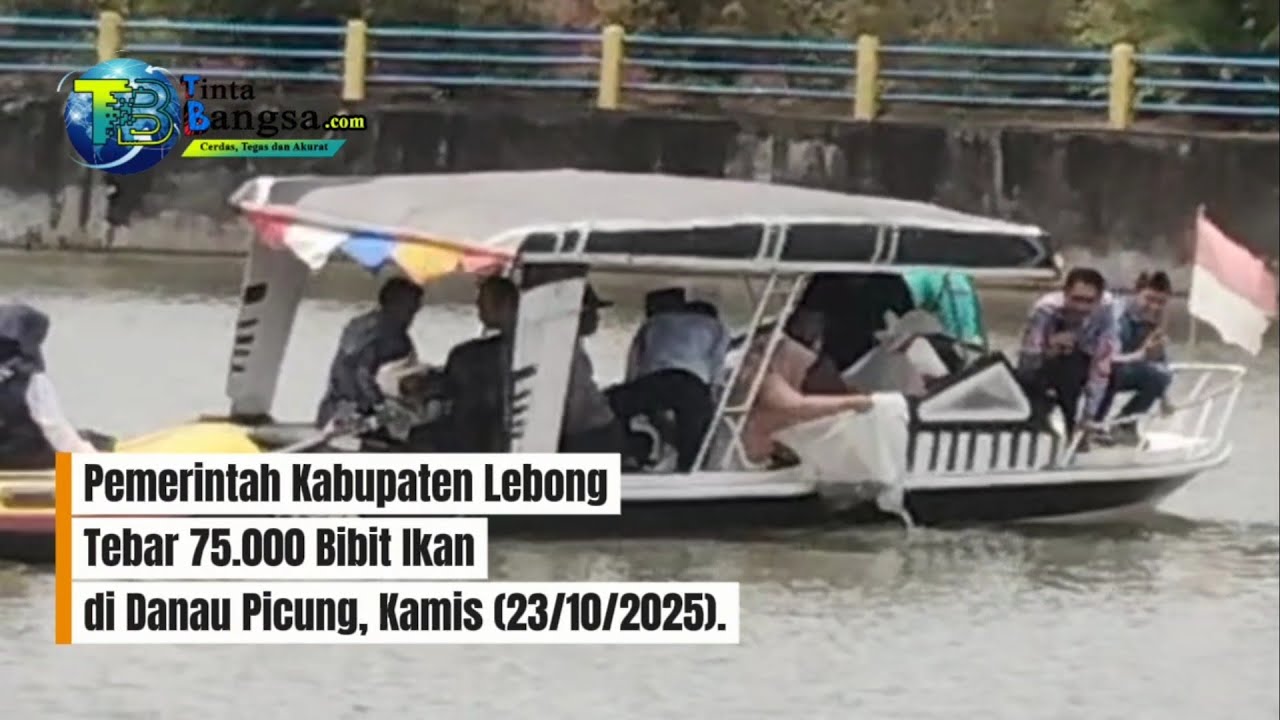 Pemda Lebong Tebar 253 Ribu Ekor Ikan di Perairan Umum Lebong - YouTube