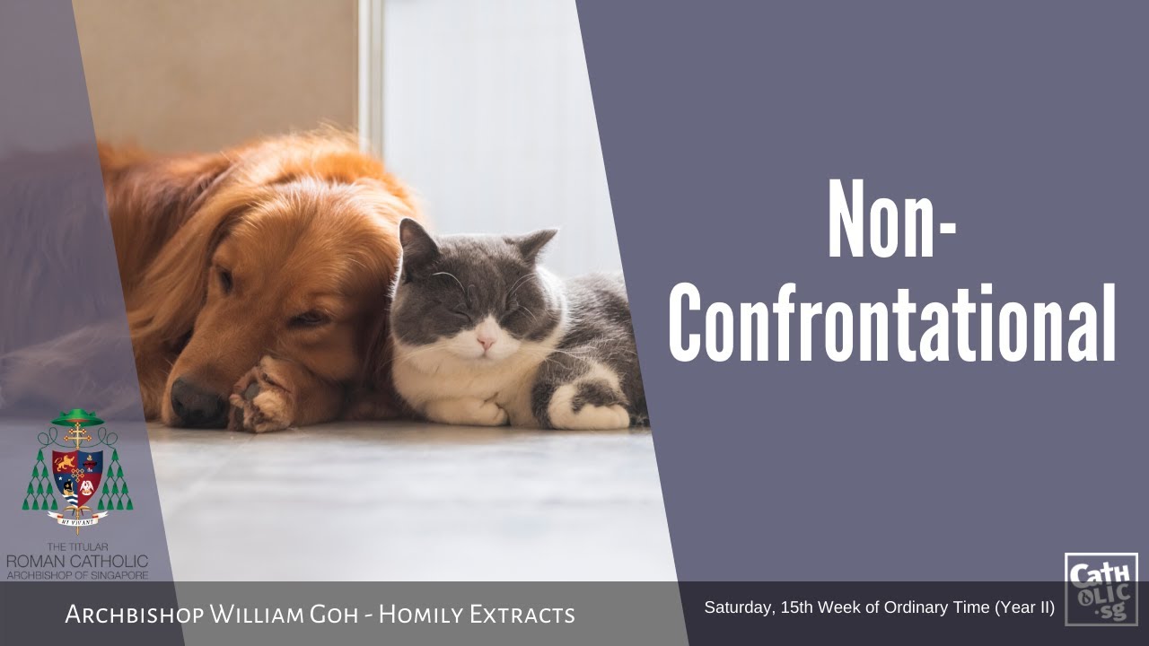 Non-Confrontational - Homily by Archbishop William Goh (18 July 2020 ...