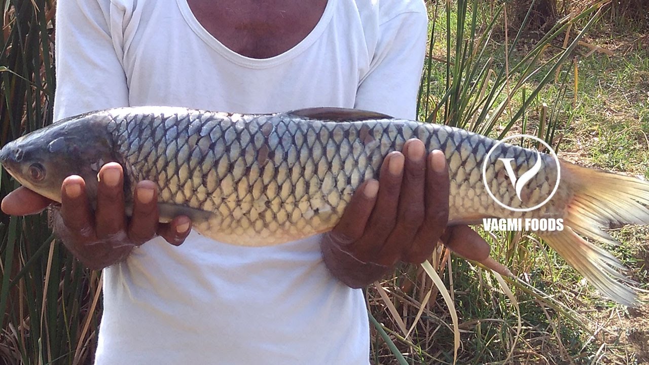 NELLORE CHEPALA PULUSU | Coastal Andhra Nellore Style FISH CURRY in ...