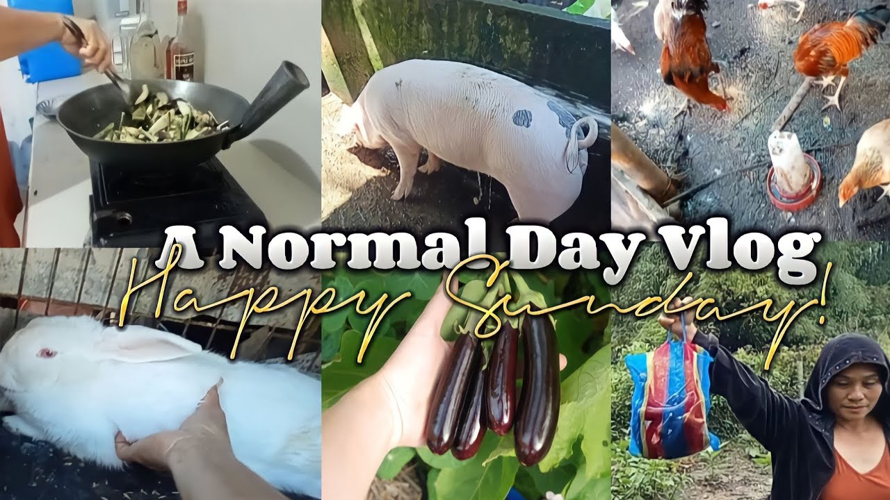 A Normal Day |Vlog No. 30 - YouTube