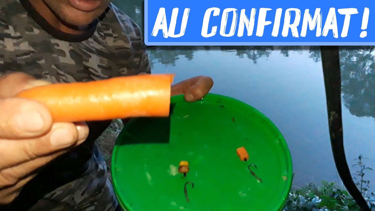 Două dintre cele mai bune momeli naturale pentru CRAPI SĂLBATICI - YouTube