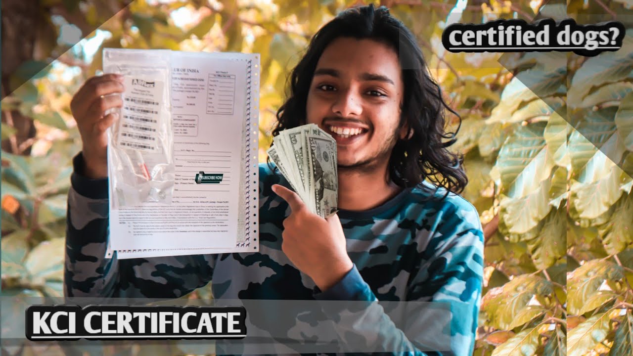 KCI Certificate | Microchip ഇവയൊക്കെ എന്താണ് | Dog Show| നമ്മുടെ ഡോഗിനെ ...
