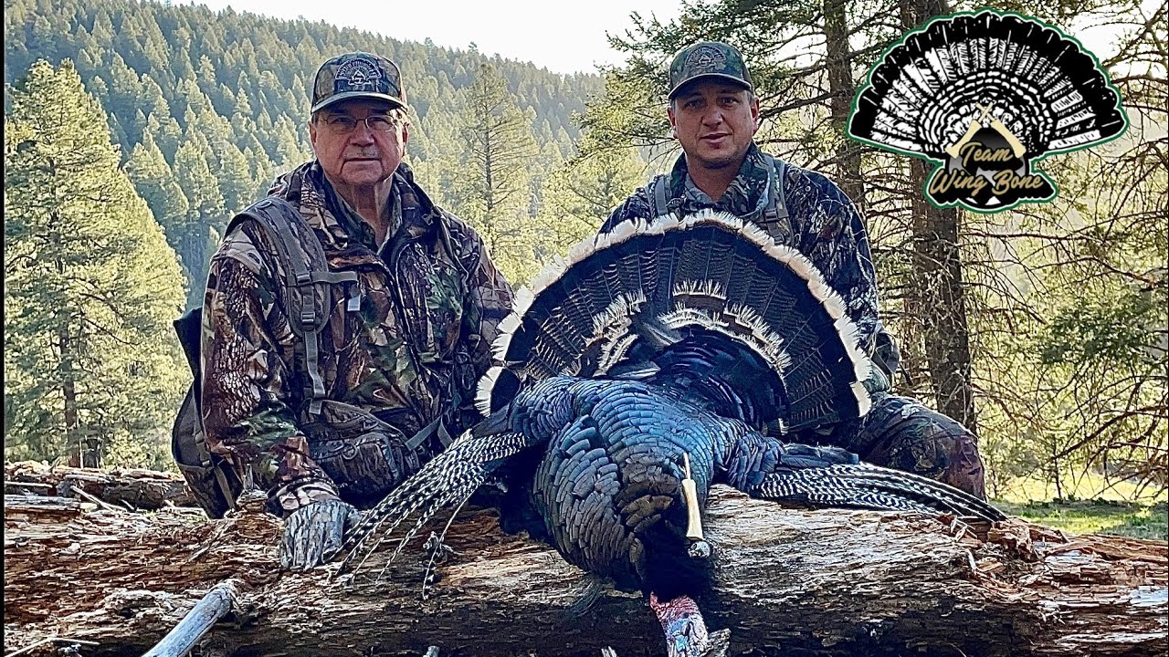 Gobbling and Yelping Clinic - New Mexico Merriam Turkey Hunting - YouTube