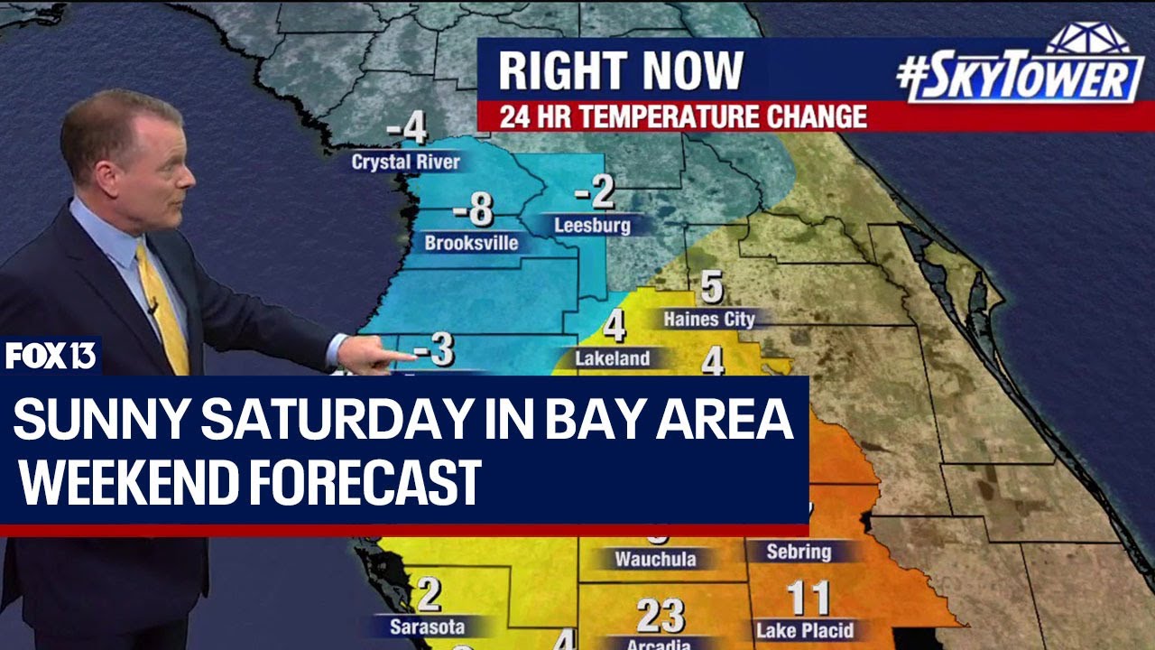 Tampa weather: Sunny in Bay Area on Feb. 24, 2024. - YouTube