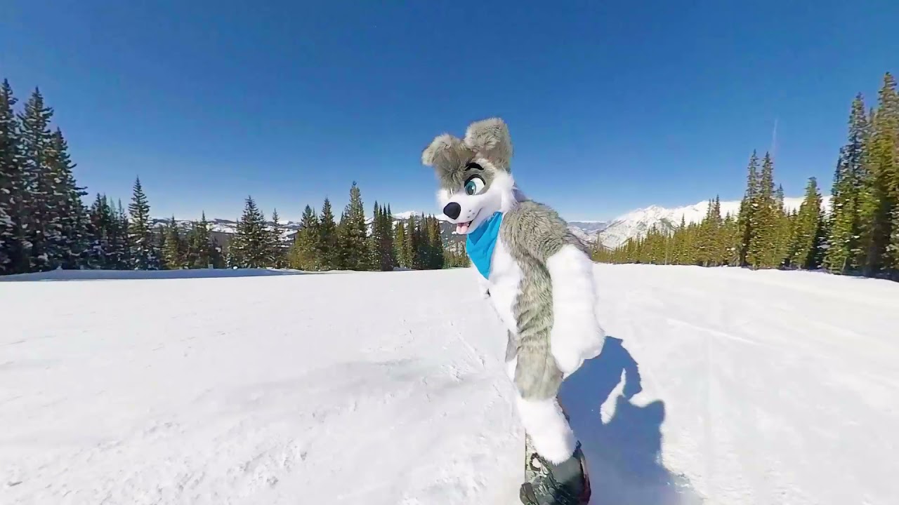 Furry Ski Weekend 2020 - YouTube