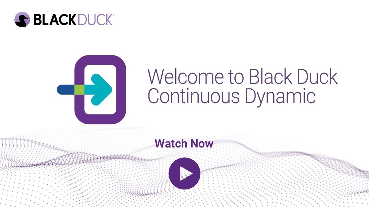 Continuous Dynamic Application Security Testing (DAST) | Black Duck ...