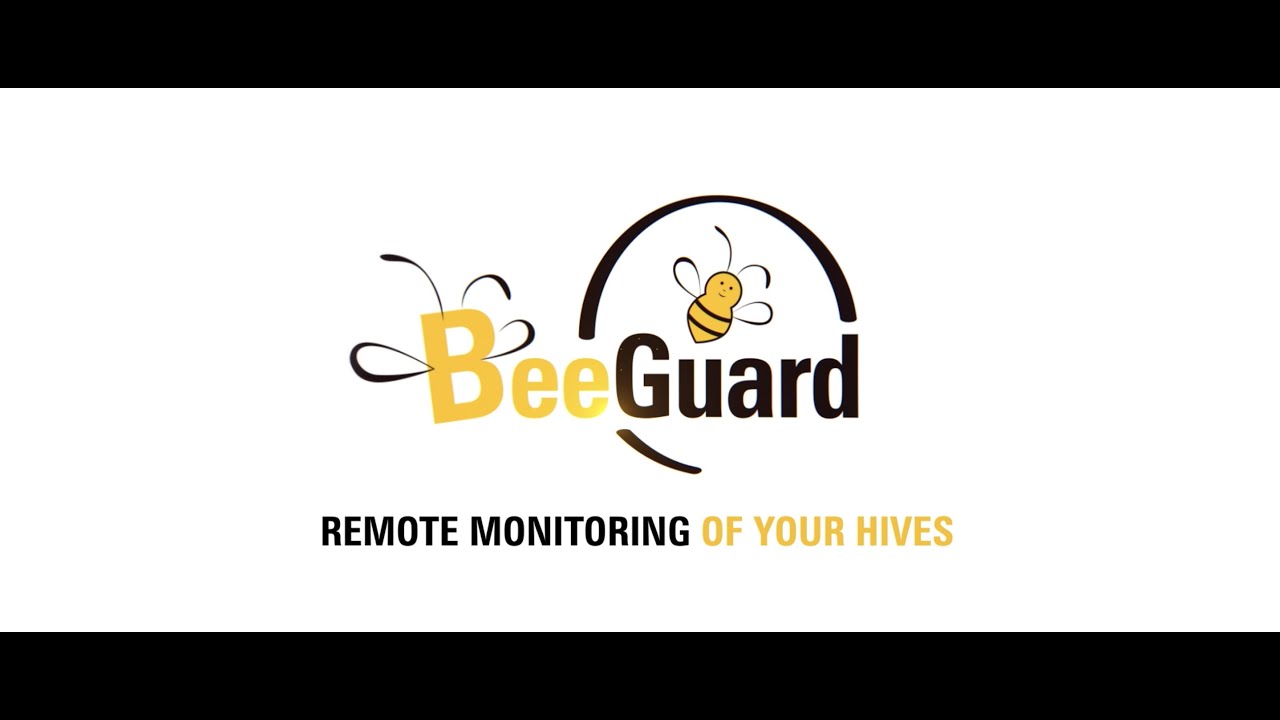 Bee Hive Monitoring: precision beekeeping - YouTube