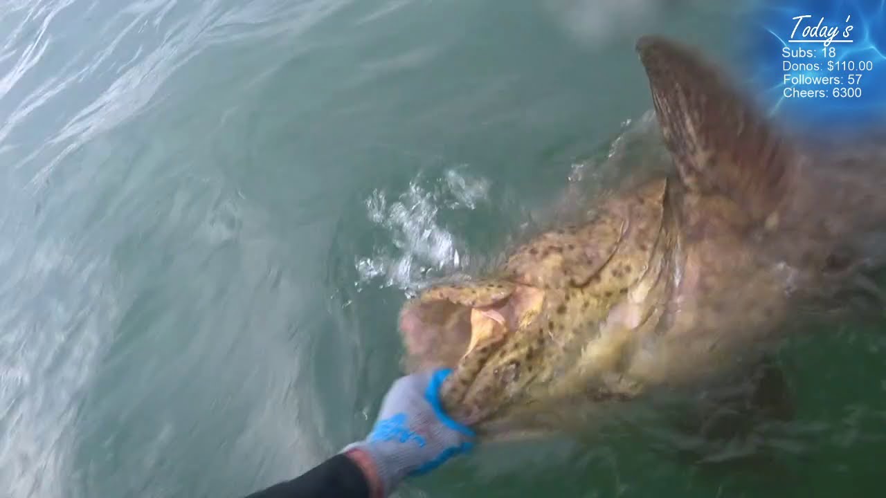 160lb man Vs 300lb Goliath Grouper...in a G3 jon boat - YouTube