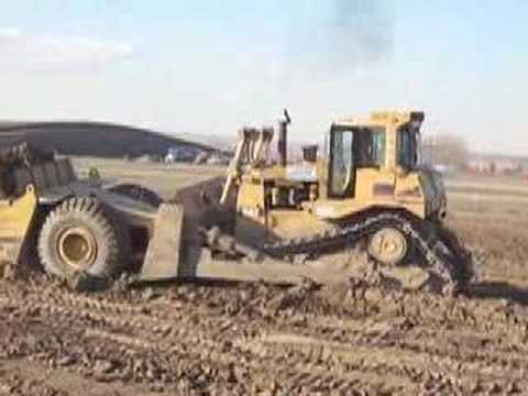 d9 cat pushing scrapers - YouTube
