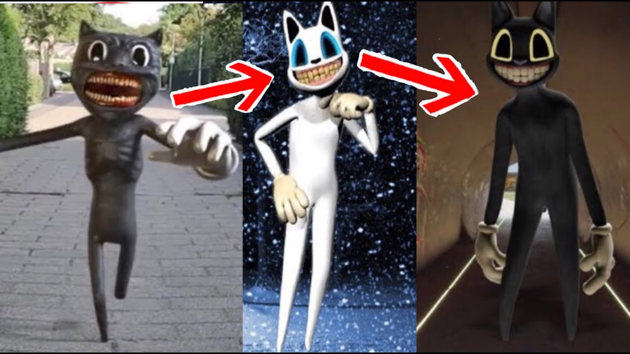 5 Tipos Cartoon Cat Que Existen Captados En La Vida Real - YouTube