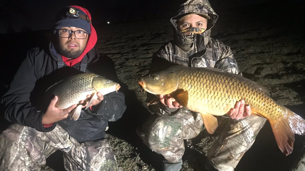 20 CARPAS EN MENOS DE 2 HORAS PESCANDO CARPAS EN INVIERNO ENERO - YouTube