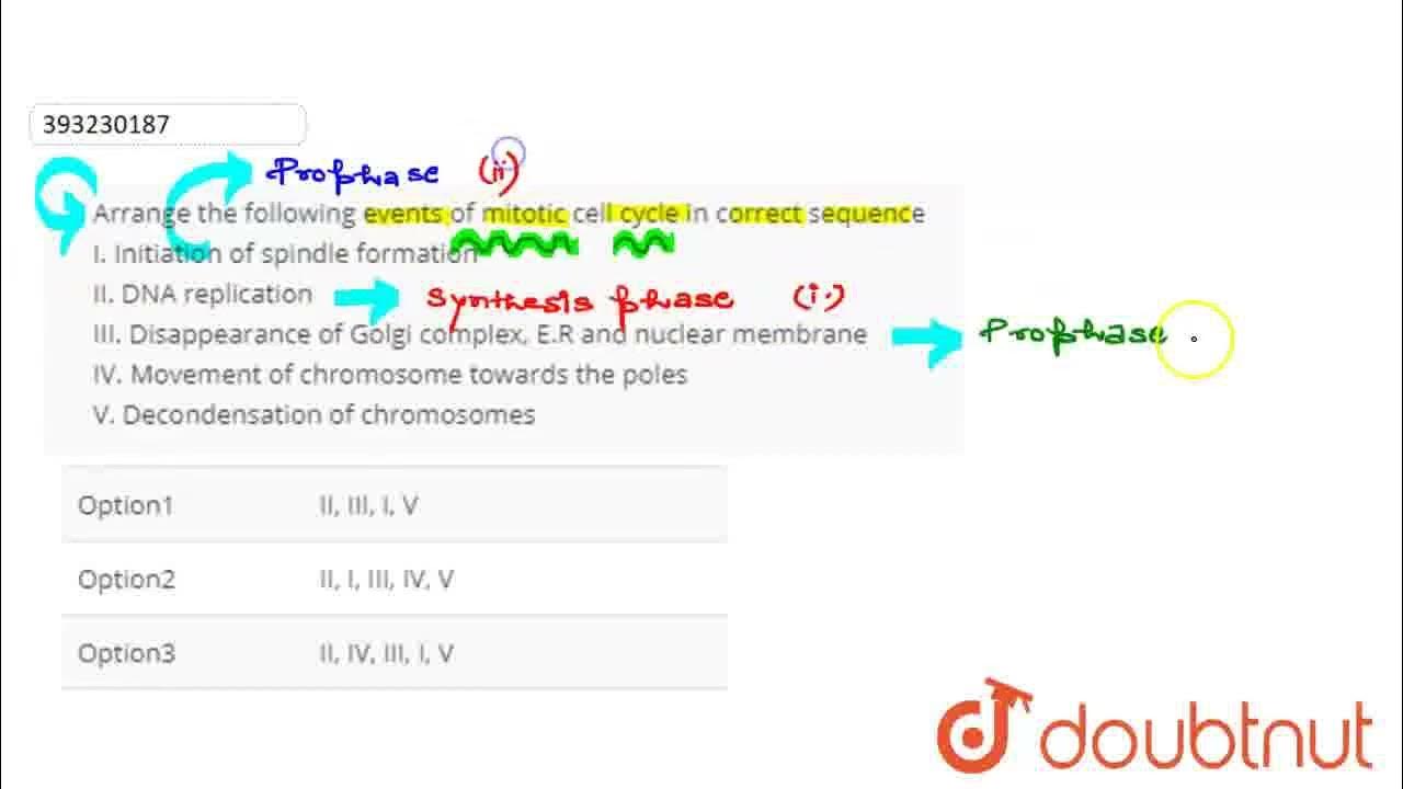 Arrange the following events of mitotic cell cycle in correct sequence ...