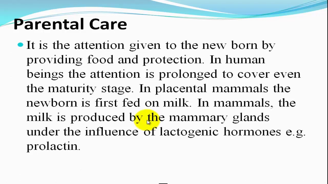 43. Parental care - YouTube