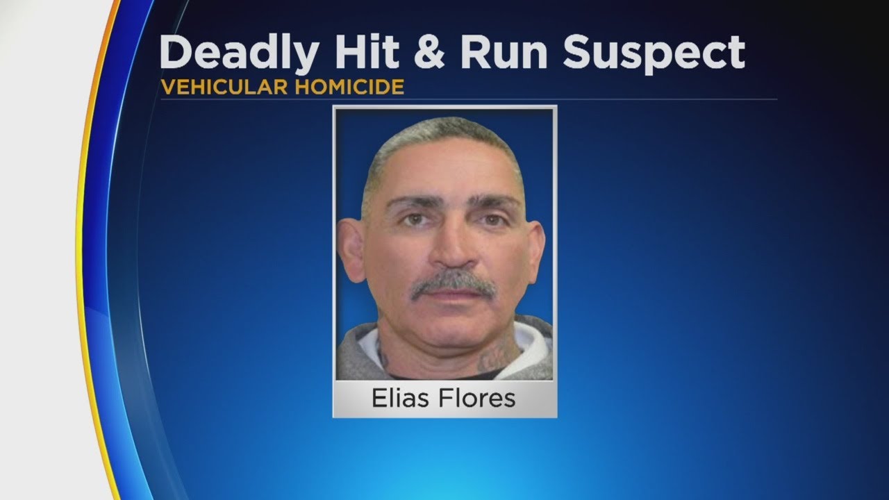 Suspect Arrested In Hit And Run Crash That Killed Lisa Reyes At A