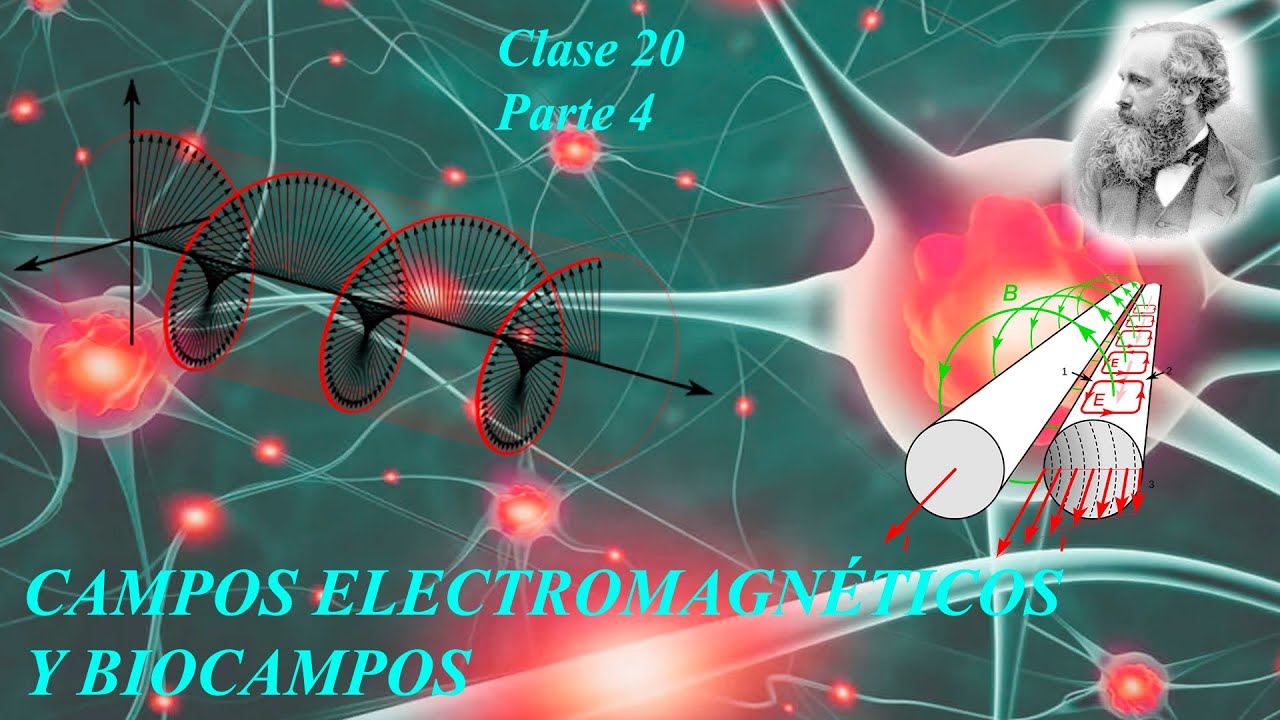 Bioelectromagnetismo, Introducción a la Anatomía y fisiología del ...