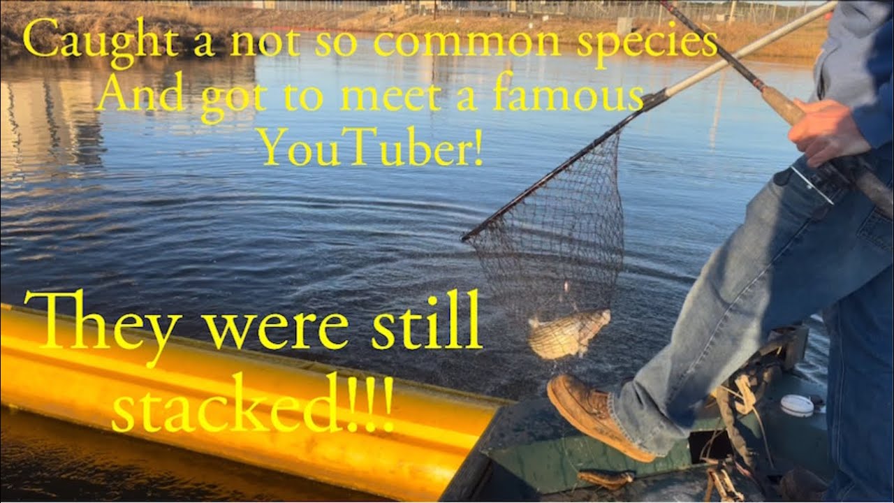 So many fish here!! Got to fish beside a famous YouTuber as well. - YouTube