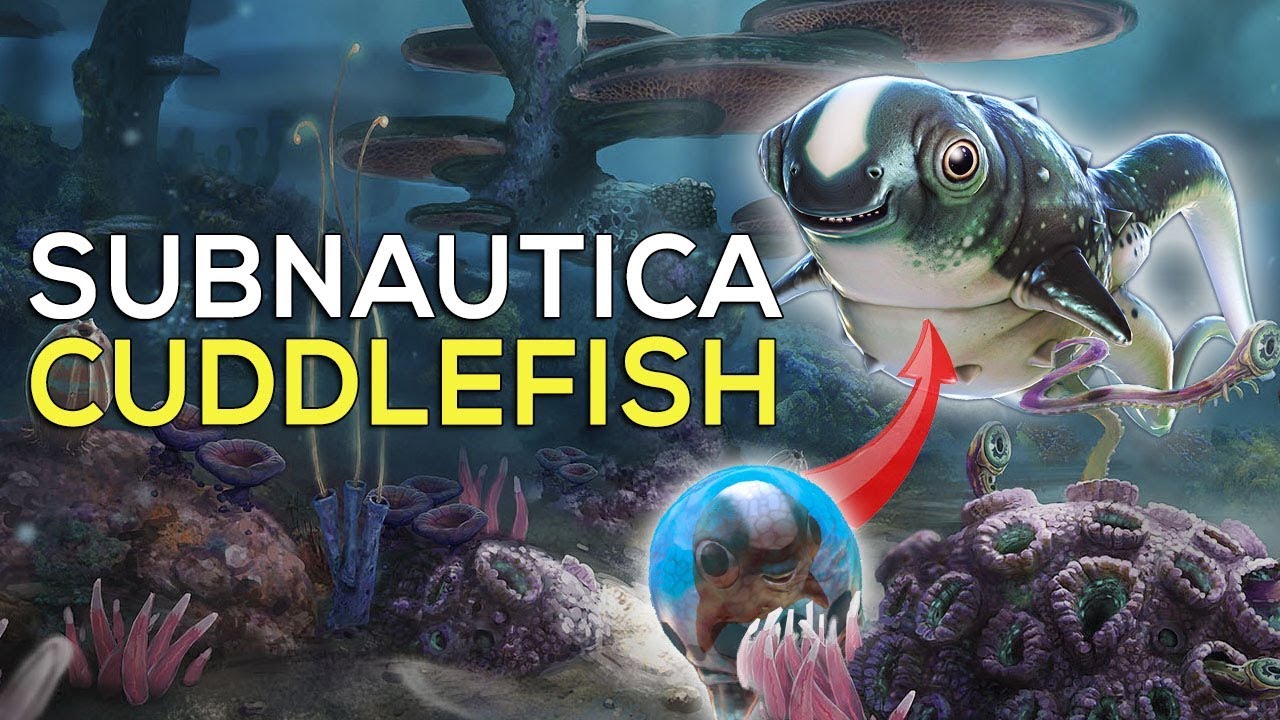 Adopt YOUR OWN Cuddlefish in Subnautica - YouTube