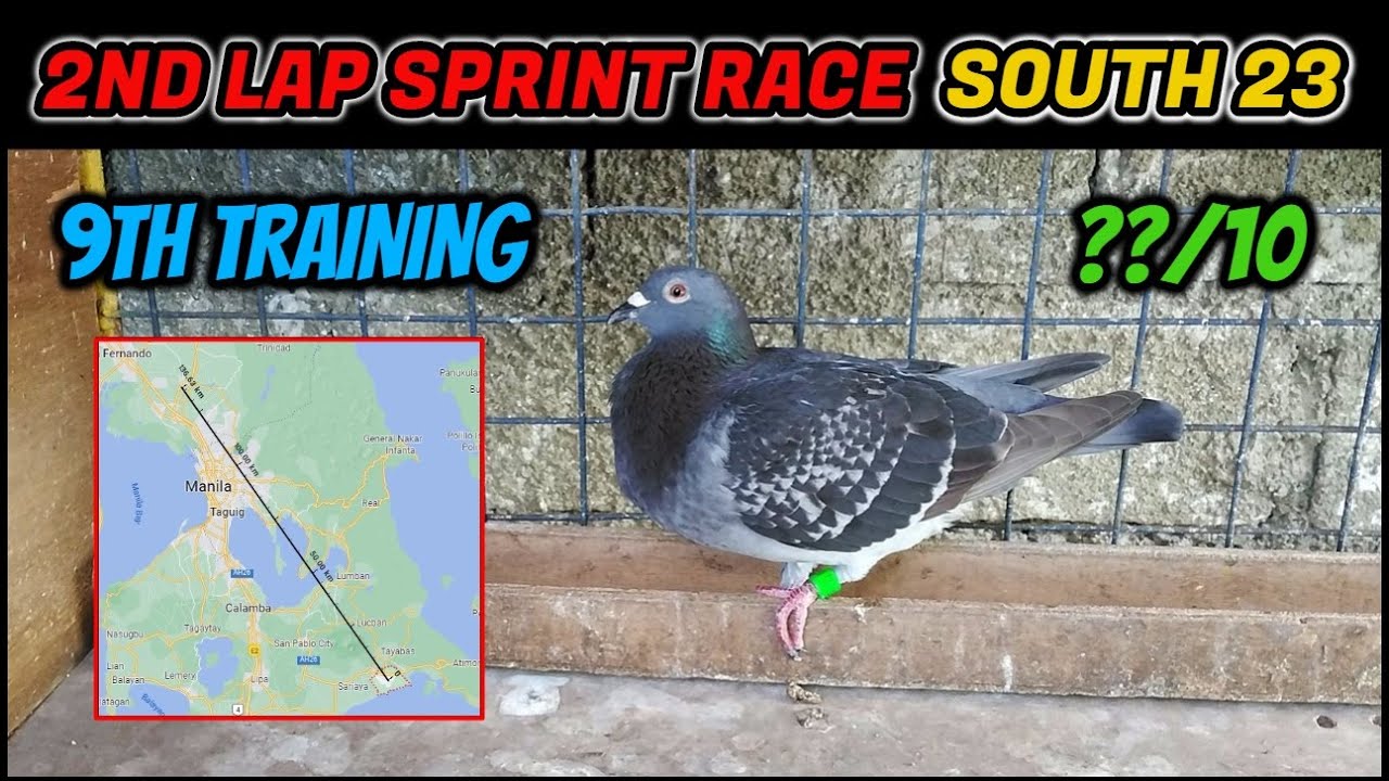 2ND LAP SPRINT RACE & 9TH TRAINING SOUTH 22-23 ARRIVAL - YouTube