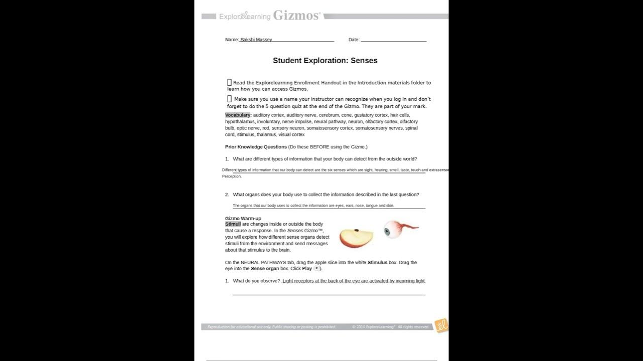 GIZMO SENSES ALL ANSWERS CORRECT GRADED A Pdf YouTube gizmo-senses-all-answers-correct-graded-a-pdf-youtube