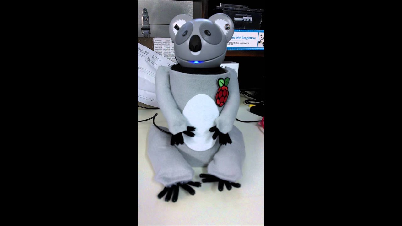 Raspberry Pi Koala badge robot for office - YouTube