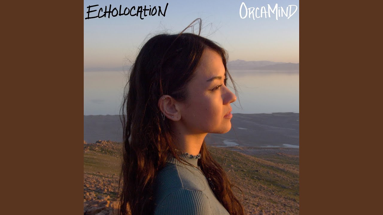 Echolocation - YouTube