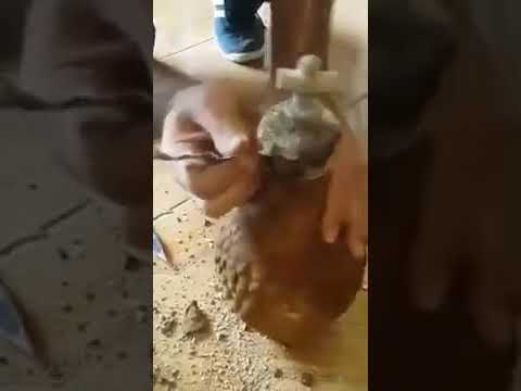 1500 yıllık şarap tadım testi