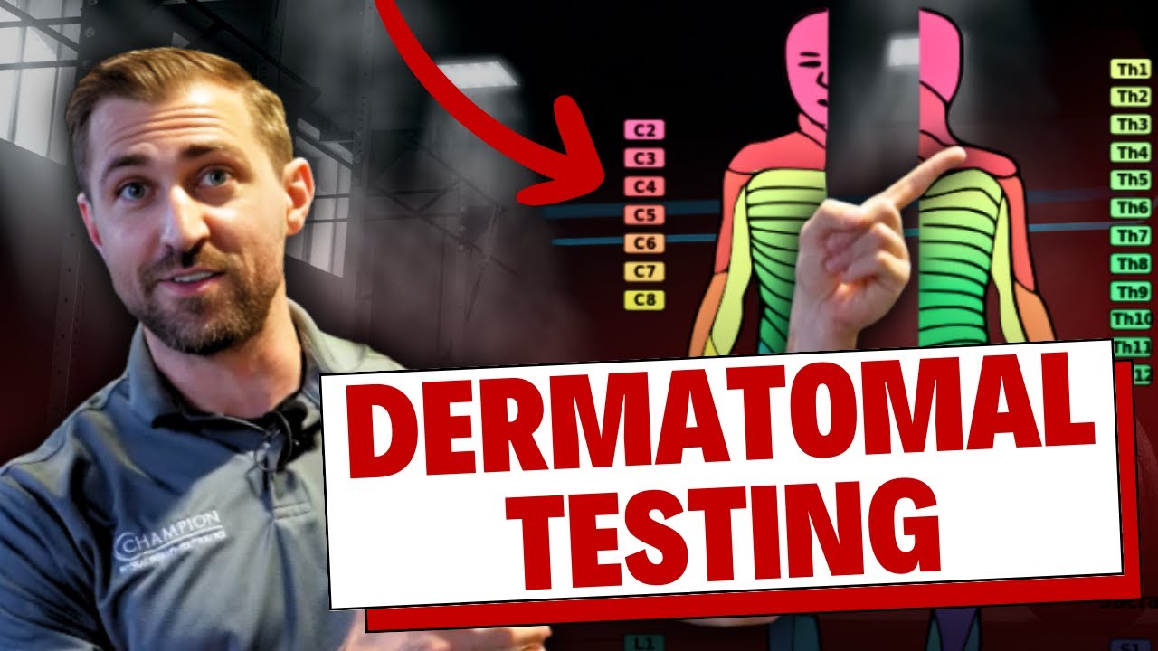 Dermatome Testing Essentials for Radicular Low Back Pain Diagnosis ...