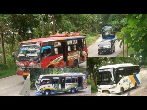 Bus ALAM JAYA vs Bus BABADOK Menuju Atambua @Thonyvlog - YouTube
