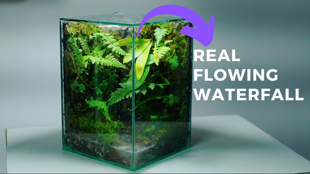 making a nano jungle waterfall in a glass tank | terrarium | paludarium ...