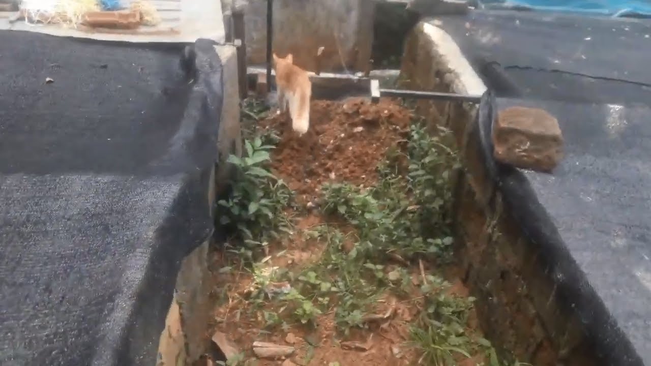 surathal masun,surathal masun wagawa,surathal masun abijananaya ...