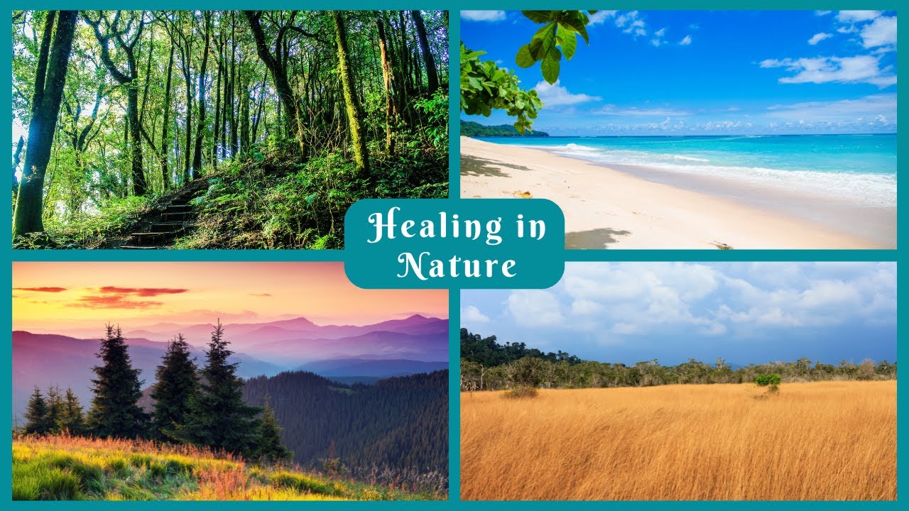 Healing Through Nature: The Therapeutic Power of the Outdoors - YouTube