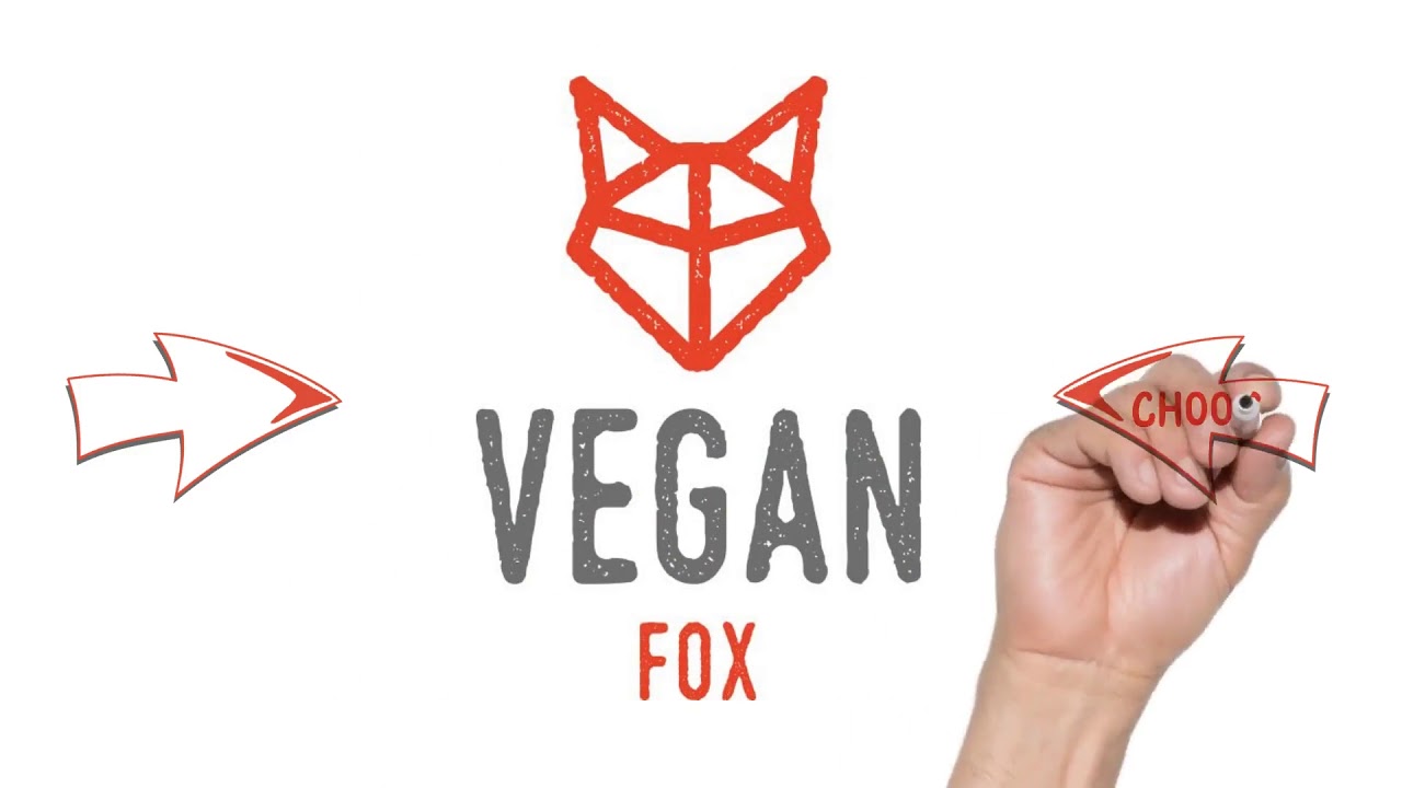 B1HiXZ+JFqS - YouTube