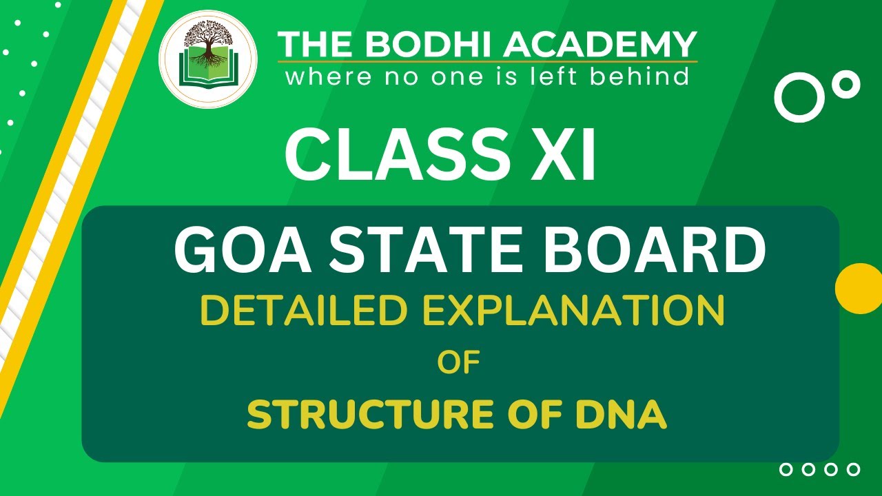 GOA BOARD || CLASS 11 || STRUCTURE OF DNA || DETAILED EXPLANATION ...