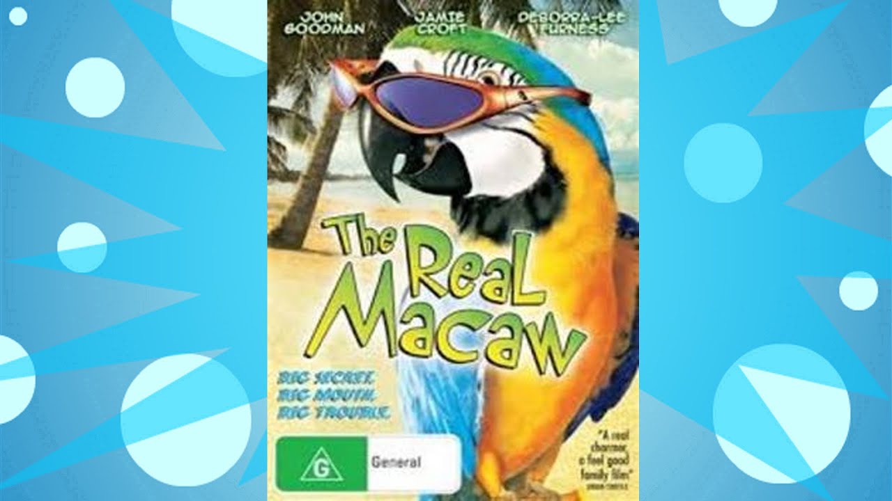 The Real Macaw - Nothing Movies - YouTube