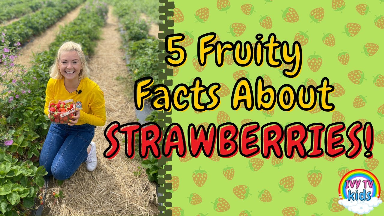 5 FUN FACTS ABOUT STRAWBERRIES! IVY TV KIDS! Did You Know??? Strawberry ...