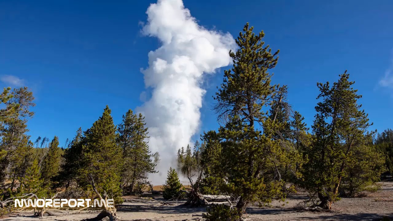 Yellowstone Steamboat Geyser Erupting At Unprecedented Rates matching ...