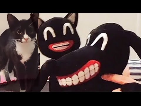 Cartoon Cat VS Real Cat - YouTube