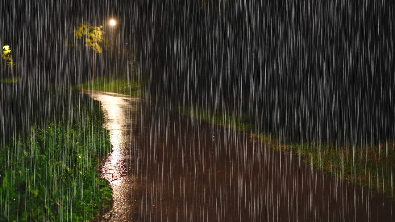 Cozy Sound of Rain│Relax│Gentle Rain│Calming│Rain sounds for sleeping ...