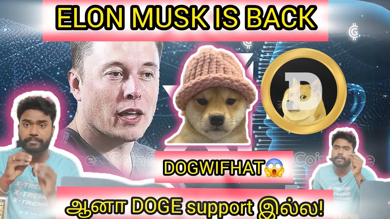 Breaking News: Elon Musk is Back - DOGWIFHAT😱 - DOGE support இல்லையா ...