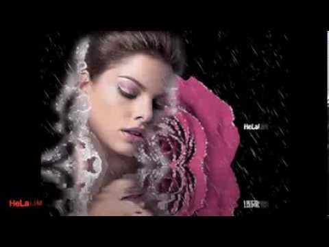 Erdal Merdan Helalimsin╭♥╯»-(¯`♥´¯)-»▐▬▌eLaLiM »-(¯`♥´¯)-»╭♥╯
