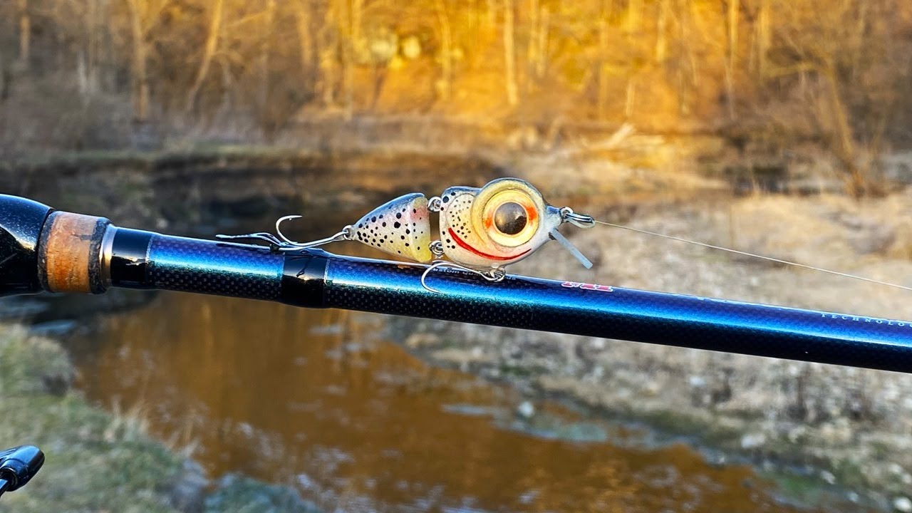 Tiny Cutthroat Trout Jointed CrankBait | One Day Build to Catch - YouTube