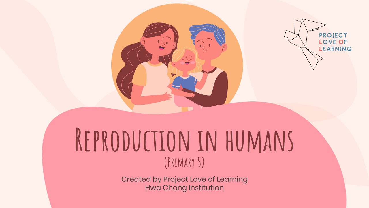 PSLE Science - Reproduction in Humans - YouTube
