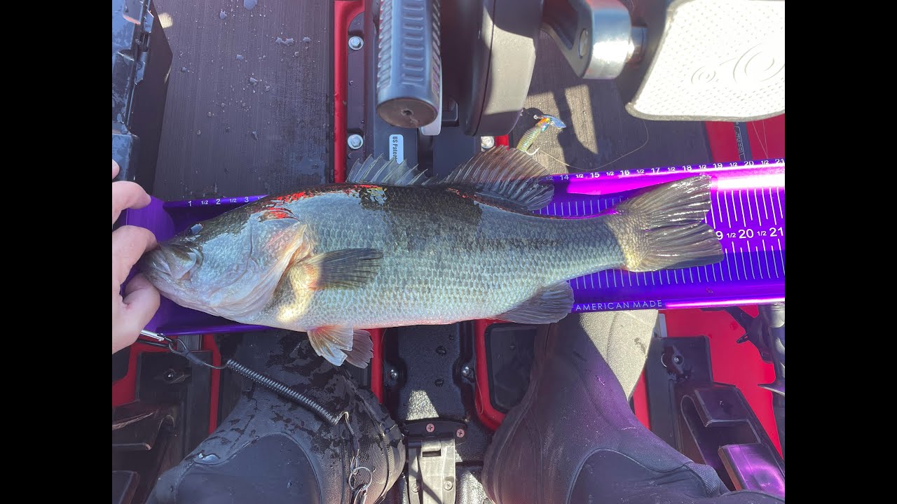 First Fish on Jackson Knarr #jacksonkayakfishing #okckayak - YouTube