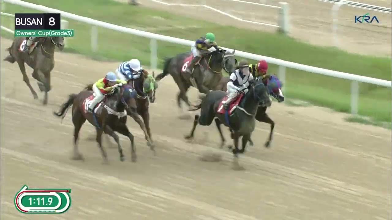 (Busan) 2024.06.30 R8 Class Open (1600M) Weight for Age / Owners' Cup (KOR G3) - YouTube