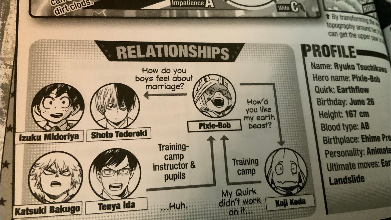 Found info about Tododeku in the My Hero Academia Ultra Analysis - YouTube
