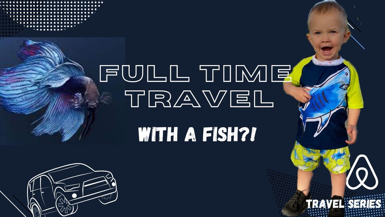 HOW WE TRAVEL FULL TIME WITH A FISH - travel vlog ep. 8 - YouTube