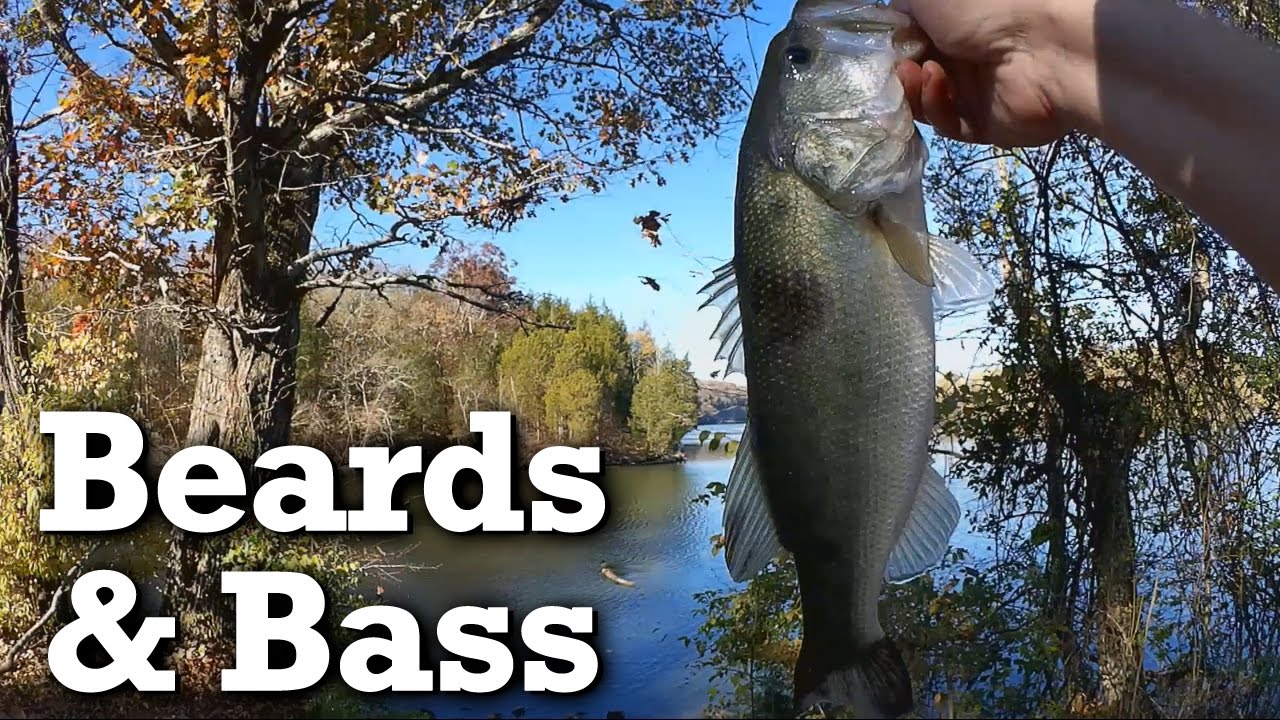 Nice fall bass from shore ft. LOJO.FISHING - Beards and Bass! - YouTube