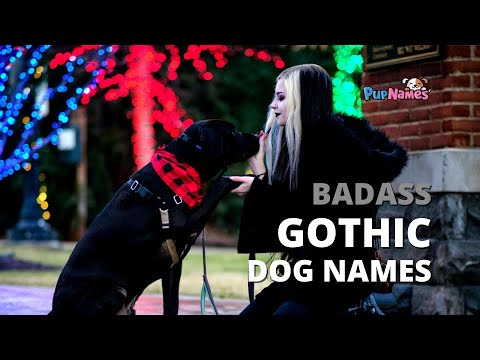 60+ Badass GOTHIC DOG NAMES -- with Meanings! | PupNames.com - YouTube