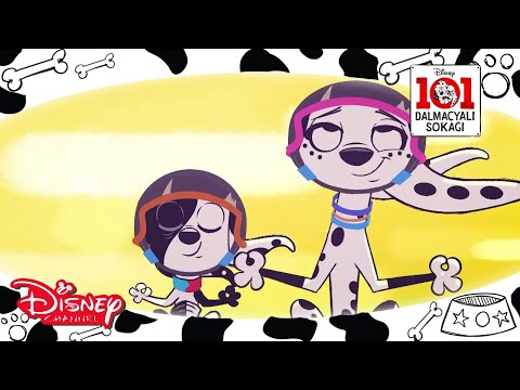 101 Dalmaçyalı Sokağı I Köpek Yogası 🙌 I Disney Channel Türkiye