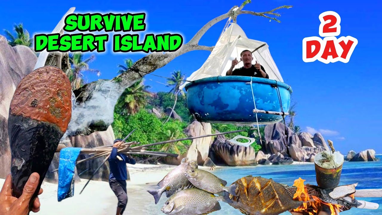 Survive 2 days on a deserted island, find food and build a shelter ...